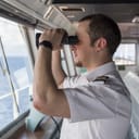 navigator (【Noun】someone whose job is to plan and direct the route of a ...