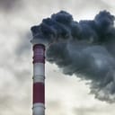 call out (【Phrasal Verb】to point out and criticize someone's bad ...