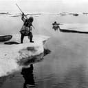 harpoon (【Verb】to impale using a spear-like instrument attached to a ...