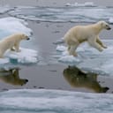 delve (【Verb】to research or examine something in detail ) Meaning ...