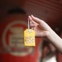 charm (【Noun】an object believed to bring good luck or protection ...