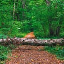 block (【Verb】to put or be an obstacle in the way of someone or ...