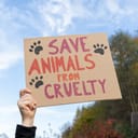 cruelty (【Noun】behavior or attitudes that cause pain or suffering for ...