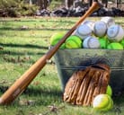 variant (【名詞】（ほかとは）異なる人・物、変異した物 ) の意味・使い方・読み方｜Engoo Words