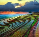 rural (【Adjective】relating to the countryside ) Meaning, Usage, and ...