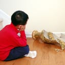 knock over (【Phrasal Verb】to hit someone or something so that they fall ...
