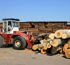 lumber (【Noun】) Meaning, Usage, and Readings | Engoo Words