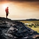 untamed (【Adjective】left wild and uncontrolled ) Meaning, Usage, and ...