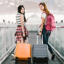 companion (【名詞】仲間、友達 ) の意味・使い方・読み方｜Engoo Words