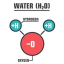 compound (【名詞】複合物, 化合物 )意思、用法及發音 | Engoo Words