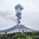 spew (【Verb】to send out large amounts of something quickly and with ...