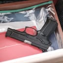 Millions in the US Carry Loaded Guns Daily, Experts Say | Engoo Daily News