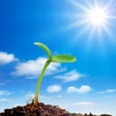 harness (【Verb】to control and make use of something ) Meaning, Usage ...