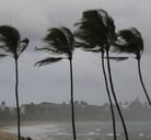 typhoon (【Noun】a tropical storm with very strong winds ) Meaning, Usage ...