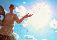 scatter (【Verb】to throw in many different directions; to cover a ...