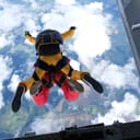 in tandem (【Phrase】with or alongside ) Meaning, Usage, and Readings ...