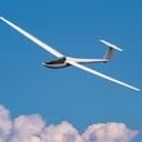 glider (【Noun】a light plane that flies without using an engine ...