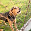 'Like Doing Admin' — Dating Apps See Decrease in Users | Engoo 每日新聞