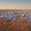 desolate (【형용사】) 뜻, 용법, 그리고 예문 | Engoo Words