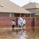 flee (【Verb】to run away from a dangerous or harmful place or situation ...