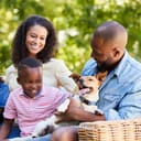 pet (【Verb】to stroke or pat an animal ) Meaning, Usage, and Readings ...