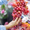 a bunch of (【Phrase】) Meaning, Usage, and Readings | Engoo Words