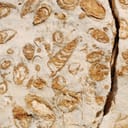 Humans Made Fire 350,000 Years Earlier Than Thought | Engoo 每日新聞