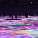 collective (【Noun】a group of people who work together with a common ...