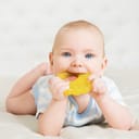 chew (【Verb】to bite food in the mouth with the teeth ) Meaning, Usage ...