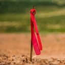 peg (【Noun】a short stick that is thinner at one end, used to hang ...