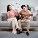 accompany (【동사】) 뜻, 용법, 그리고 예문 | Engoo Words