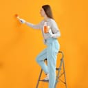 vibrant (【Adjective】(of color) strong and bright ) Meaning, Usage, and ...