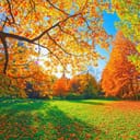 pleasant (【Adjective】causing happiness or enjoyment ) Meaning, Usage ...