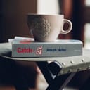 satire (【Noun】a style of criticizing someone or something using humor ...