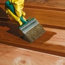 rot (【Verb】to decay or cause to decay because of bacteria or fungi ...