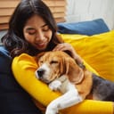 needy (【Adjective】wanting a lot of attention and love ) Meaning, Usage ...