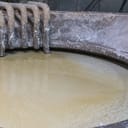 pulp (【Noun】a soft, wet mass of material taken from wood that is used ...