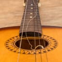 string (【Noun】a length of wire or other material on a musical ...