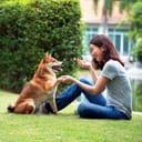 innate (【Adjective】that one has been born with ) Meaning, Usage, and ...