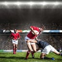 spectator (【名词】观众, 旁观者 )意思、用法及发音 | Engoo Words