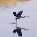 skim (【Verb】to move quickly or lightly over or on a surface, or through ...