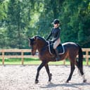 rein (【Noun】a long, narrow leather band that is fastened around a horse ...