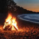 bonfire (【Noun】a large outdoor fire used for burning trash or as part ...