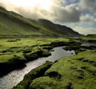 natural (【形容詞】自然的, 天然的 )意思、用法及發音 | Engoo Words