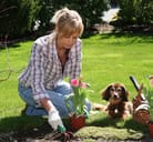 sow (【Verb】to put the seeds of a plant or crop on or into the ground ...