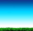 evident (【Adjective】very clear ) Meaning, Usage, and Readings | Engoo Words