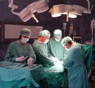 meticulous (【Adjective】paying a lot of attention to detail ) Meaning ...