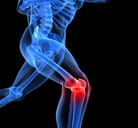 knee (【Noun】) Meaning, Usage, and Readings | Engoo Words