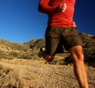 release (【動詞】釋放, 解放 )意思、用法及發音 | Engoo Words