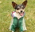 ridiculous (【Adjective】unreasonable, or deserving to be made fun of ...